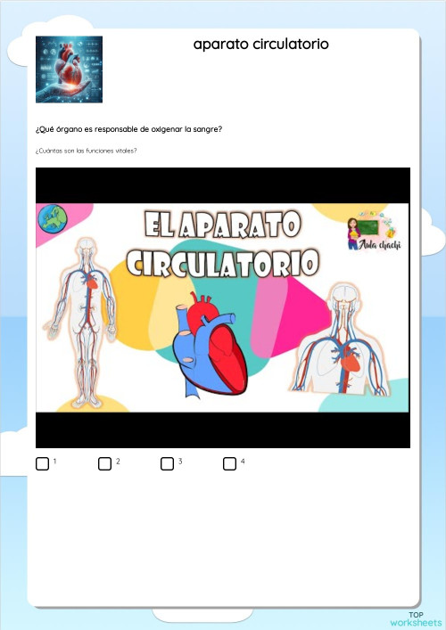 aparato circulatorio. Ficha interactiva | TopWorksheets