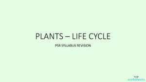 Year 6 Science | Plants Life Cycle. Interactive worksheet | TopWorksheets