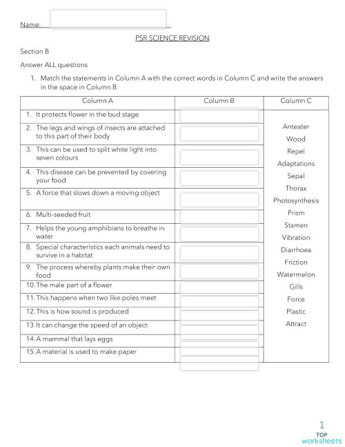 Revision P2 Y6. Interactive worksheet | TopWorksheets