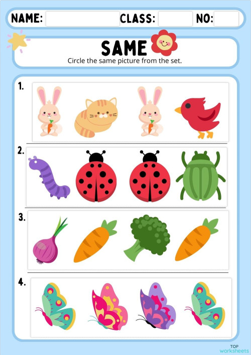 Circle same picture. Interactive worksheet | TopWorksheets