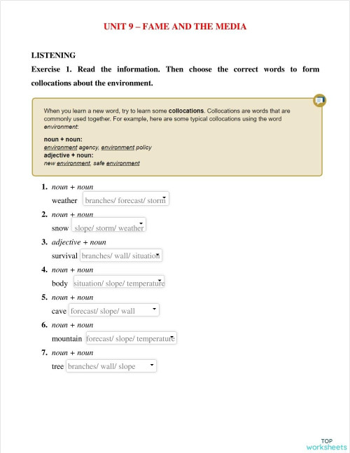 Unit 7 - Listening - Fame and the Media. Interactive worksheet ...