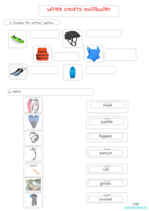 Water Sports' Equipment. Interactive worksheet | TopWorksheets