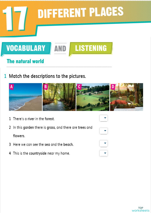 Interactive worksheets and online exercises in english | TopWorksheets