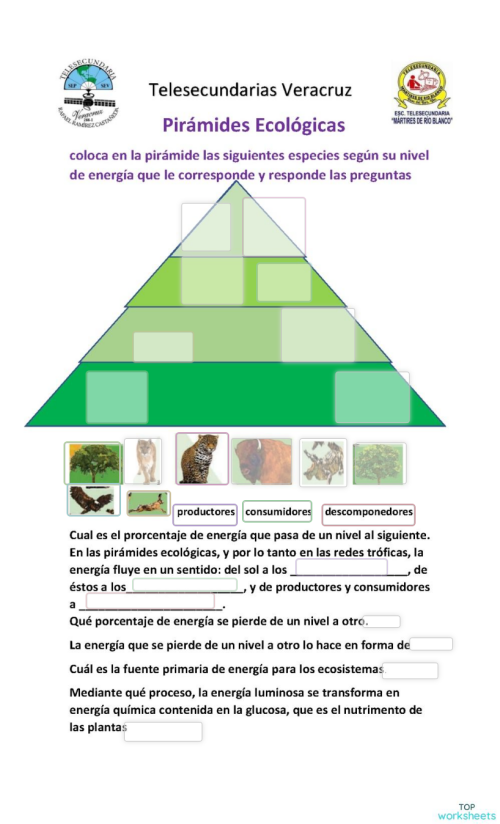 Pirámides de energía. Ficha interactiva | TopWorksheets