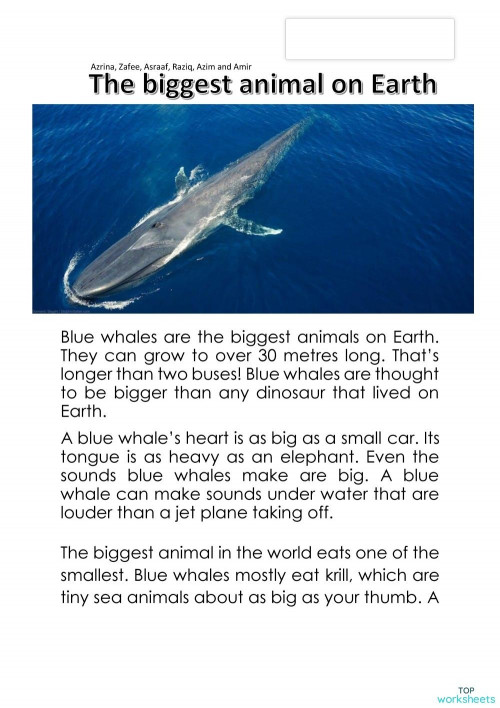 Blue whales (MA ). Interactive worksheet | TopWorksheets
