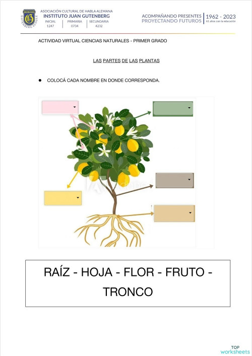 TAREA PLANTAS UNIDAD 3. Ficha interactiva | TopWorksheets
