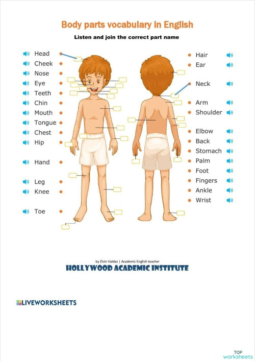 EXERCISE 1: MATCH TO THE CORRECT PART. Interactive worksheet ...