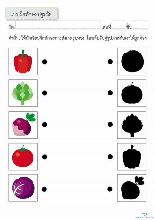 ใบงานการโยงเส้นสัมพันธ์กับรูปและเงา อนุบาล2 ใบงานเชิงโต้ตอบ Topworksheets