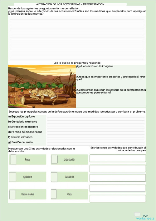 Ecosistemas: fichas interactivas y ejercicios online | TopWorksheets