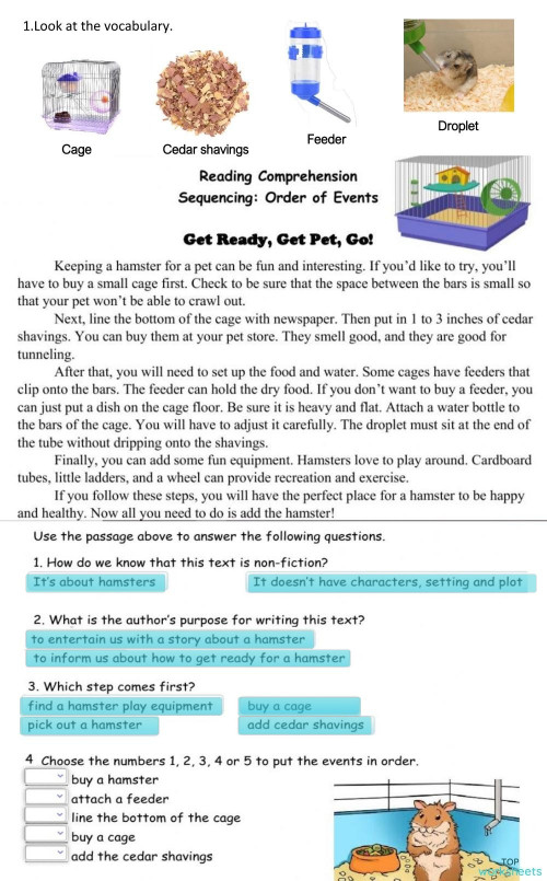Get a hamster.. Interactive worksheet | TopWorksheets