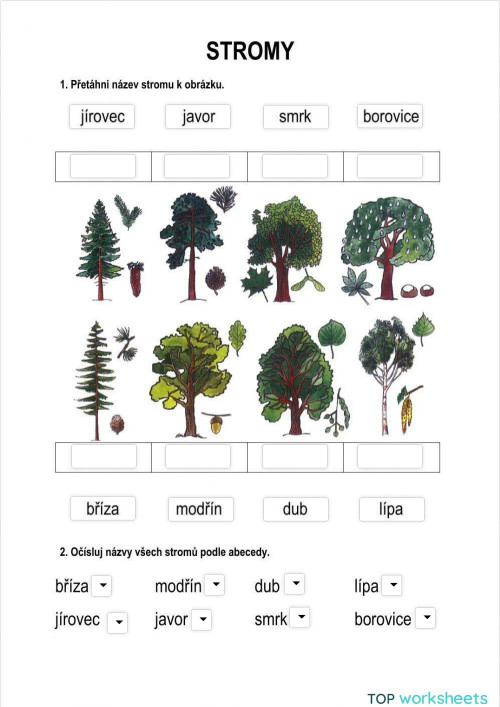 Stromy. Interaktivní pracovní list | TopWorksheets