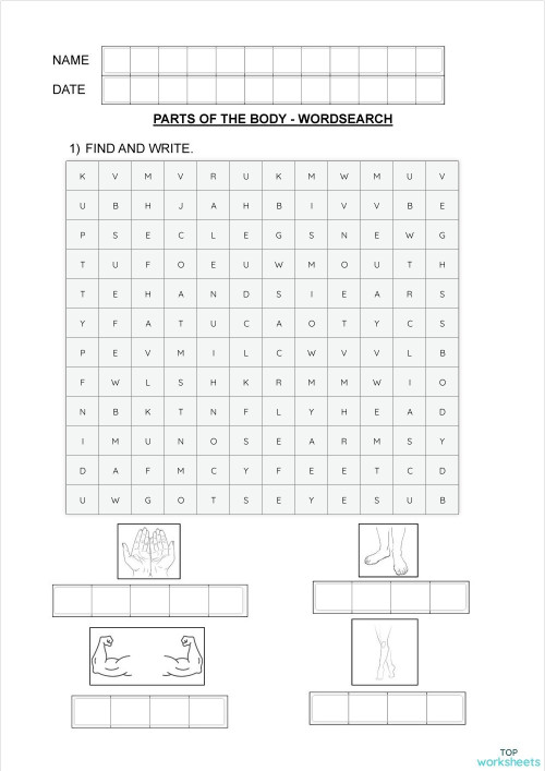 BODY WORDSEARCH. Interactive worksheet | TopWorksheets