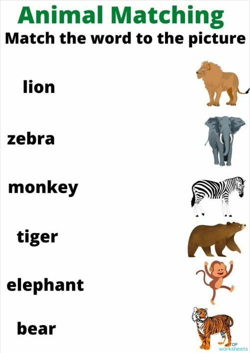 Animal Matching. Interactive worksheet | TopWorksheets
