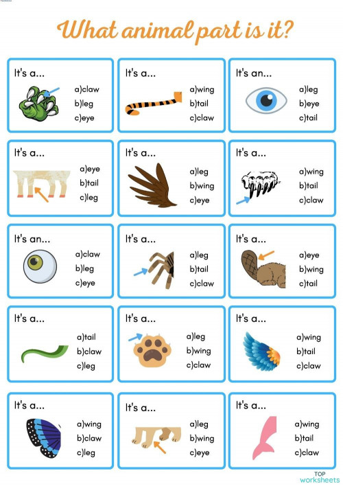 parts of the animals. Interactive worksheet | TopWorksheets