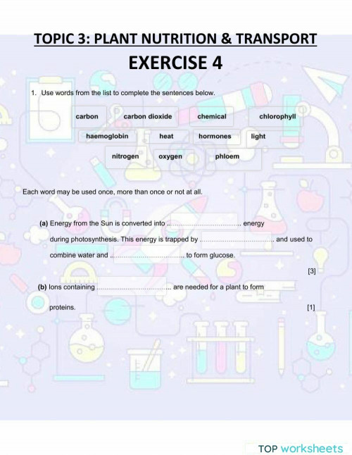 Plant NUtrition and Transport exercise. Interactive worksheet ...