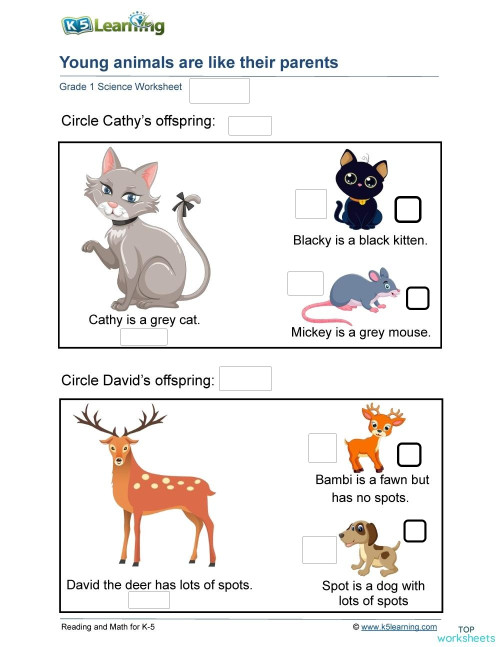 Elementary Science 3. Interactive worksheet | TopWorksheets