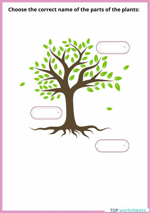 Parts Of Plants Interactive Worksheet TopWorksheets parts-of-plants-interactive-worksheet-topworksheets