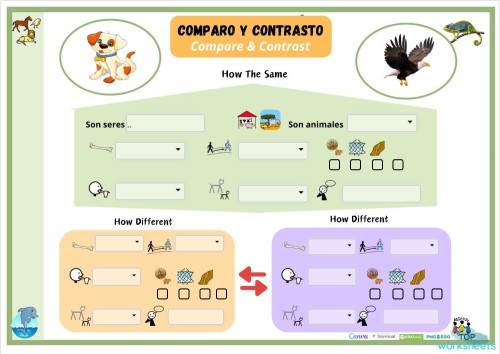 Comparo y contrasto. Ficha interactiva | TopWorksheets