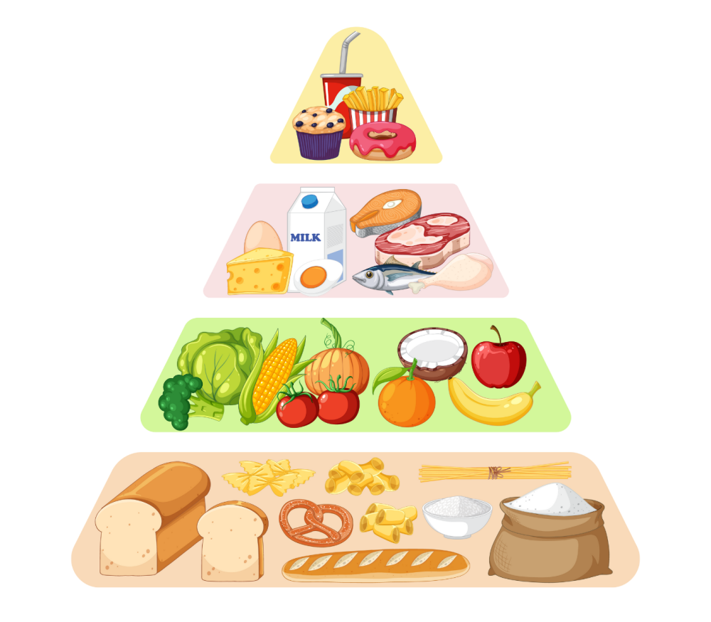 FOOD PYRAMID. Interactive worksheet | TopWorksheets