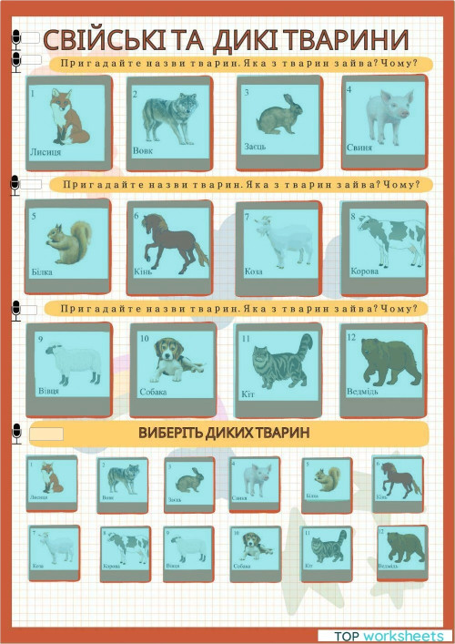 Interactive worksheets and online exercises in ukrainian | TopWorksheets