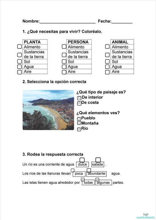 Conocimiento del Medio SDA 2. Ficha interactiva | TopWorksheets