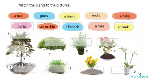 4th grade April Nature 1st level. Interactive worksheet | TopWorksheets