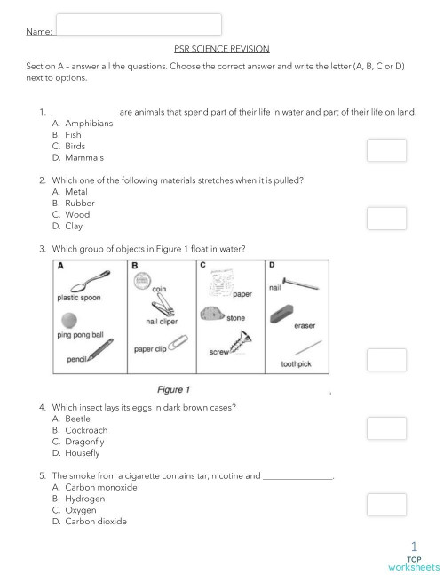 Revision P1 Y6. Interactive worksheet | TopWorksheets