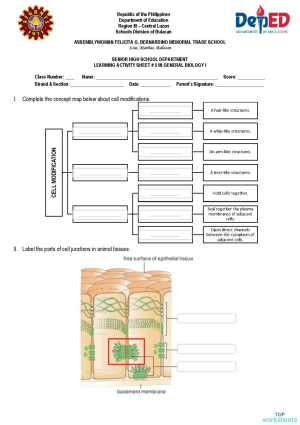 Module 5: Cell Modification. Interactive worksheet | TopWorksheets