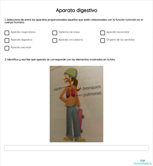 Aparato digestivo. Ficha interactiva | TopWorksheets