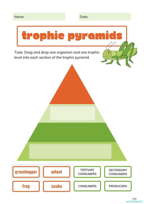Interactive worksheets and online exercises in slovakia | TopWorksheets