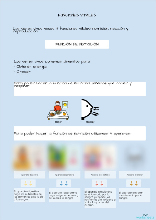 Función de nutrición (aparatos). Ficha interactiva | TopWorksheets