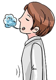 Lesson LVA5 (Level 1). Interactive worksheet | TopWorksheets