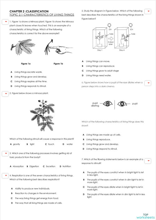 PSR Science 2018 Paper 2 - Section A. Interactive worksheet | TopWorksheets