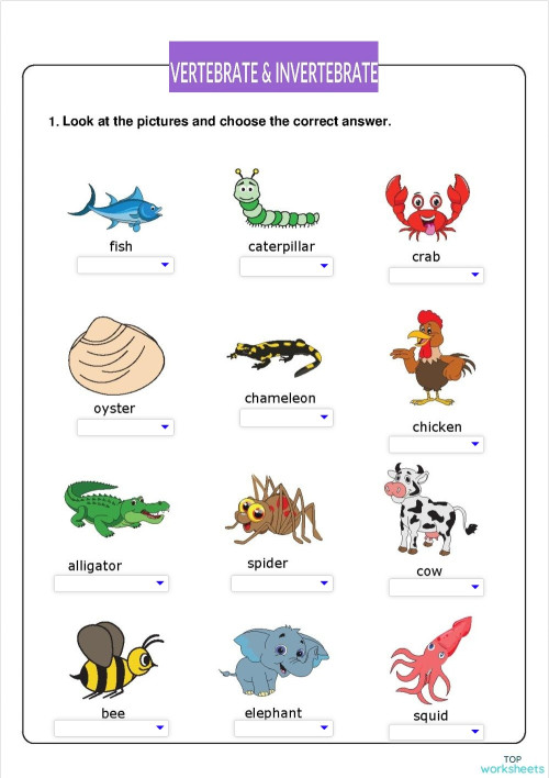 Vertebrates & Invertebrates. Interactive worksheet | TopWorksheets