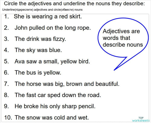 Adjectives + nouns. Interactive worksheet | TopWorksheets