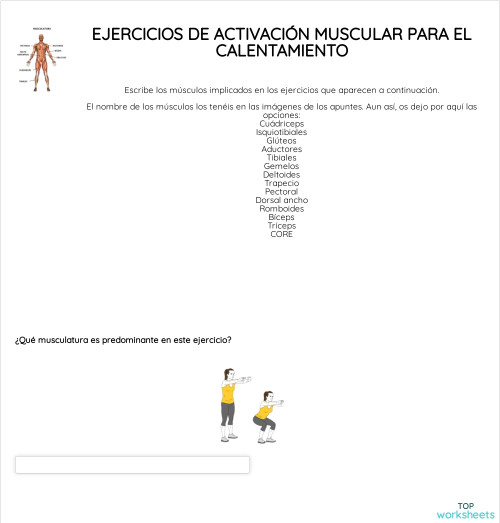 EJERCICIOS DE ACTIVACIÓN MUSCULAR PARA EL CALENTAMIENTO. Ficha ...