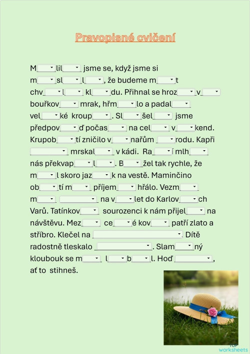 Čeština: interaktivní pracovní listy a online cvičení | TopWorksheets