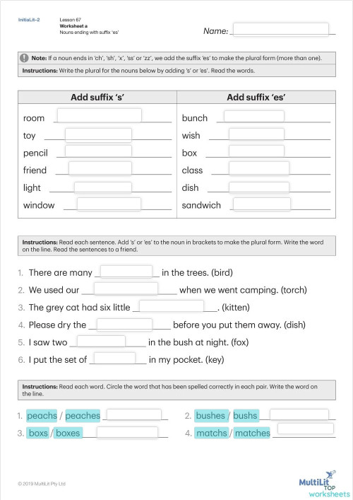 Lesson 67 Nouns ending in es. Interactive worksheet | TopWorksheets