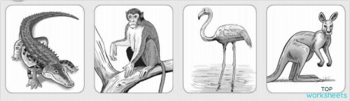 4th Grade Unit 5 Test 5 Level Interactive Worksheet Topworksheets