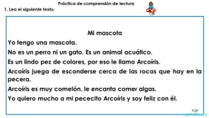 Comprensión de lectura MI mascota en imprenta. Ficha interactiva ...