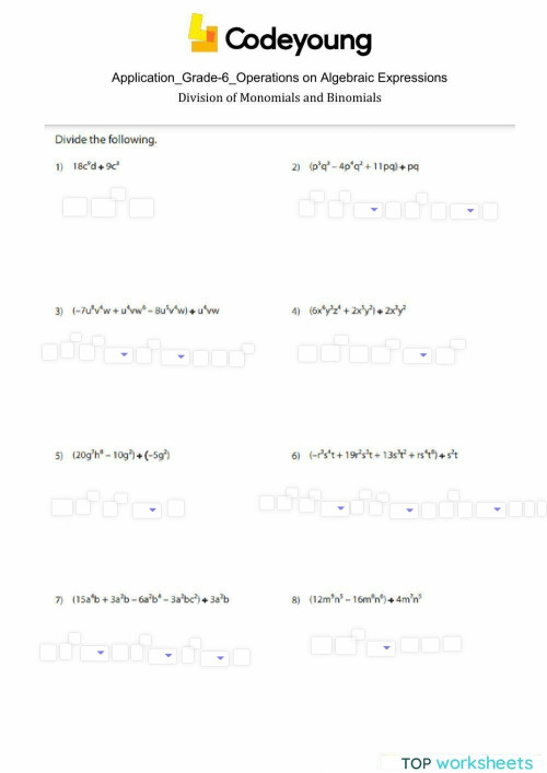 Division of Monomials and Binomials Application. Interactive worksheet ...
