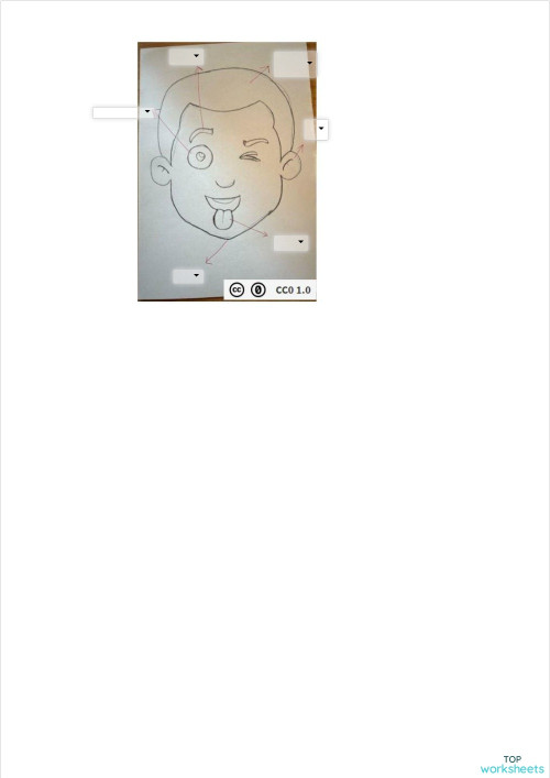 Face part two. Ficha interactiva | TopWorksheets