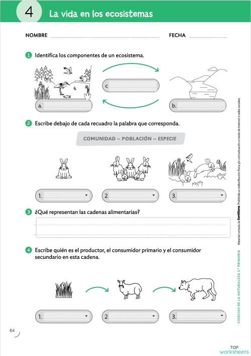 Estaciones. Ficha interactiva | TopWorksheets