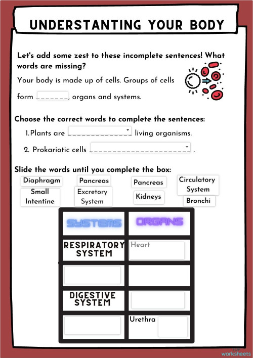 UNDERSTANTING YOUR BODY. Interactive worksheet | TopWorksheets