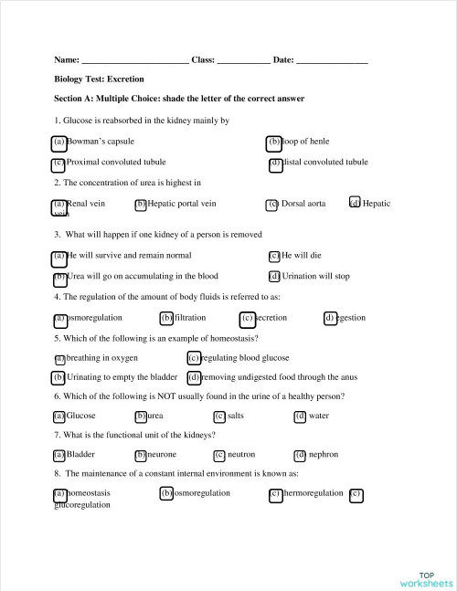 Natural Science Unit 4. Sensitivity. Interactive worksheet | TopWorksheets