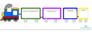 Tren de sílabas. Ficha interactiva | TopWorksheets
