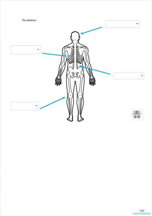 Natural science: interactive worksheets and online exercises ...