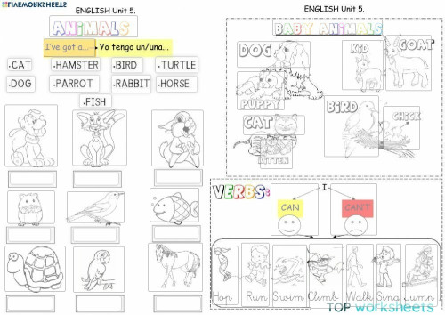 Animals and Baby Animals. Interactive worksheet | TopWorksheets