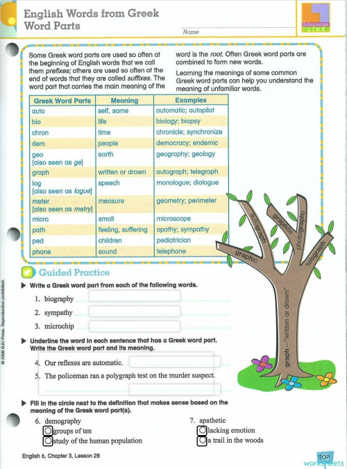 Lesson 28: English Words from Greek Word Parts Pg 55. Interactive ...