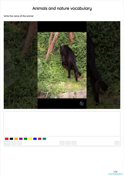 Animals and nature vocabulary. Interactive worksheet | TopWorksheets